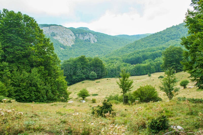 Pollino national park stock image. Image of view, tourism - 89041511