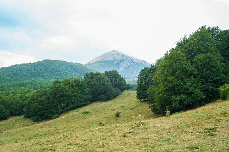 Pollino national park stock image. Image of plants, view - 89041565
