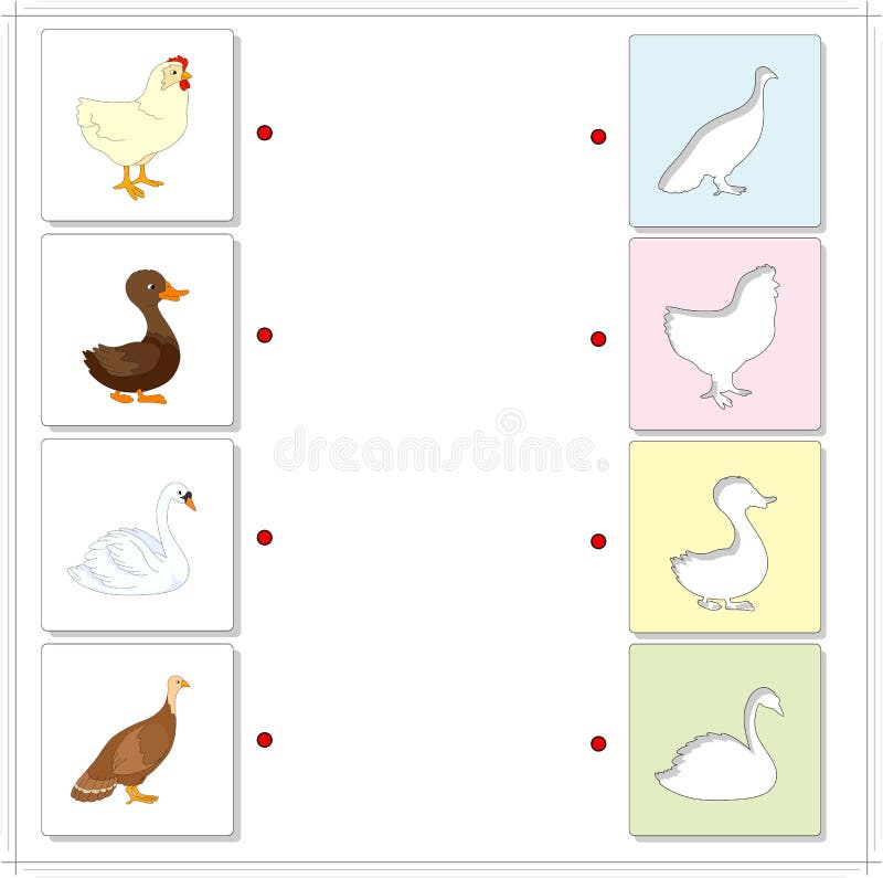 Pollo, Anatra, Tacchino E Cigno Gioco Educativo Per I Bambini ...