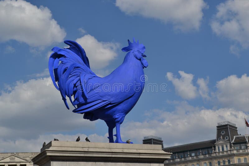 Pollo azul fotografía editorial. Imagen de cuadro, azul - 43486242