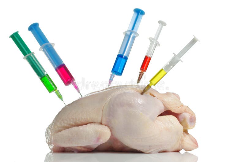 Pollo Y Jeringa Vacunación De Pollos Pollo De Fondo Blanco La Gallina ...