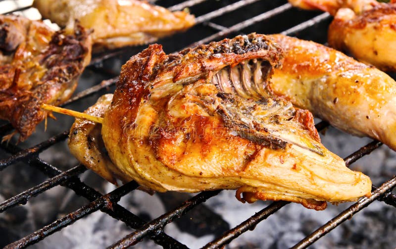 Pollo de Rosted imagen de archivo. Imagen de alimento - 24177243