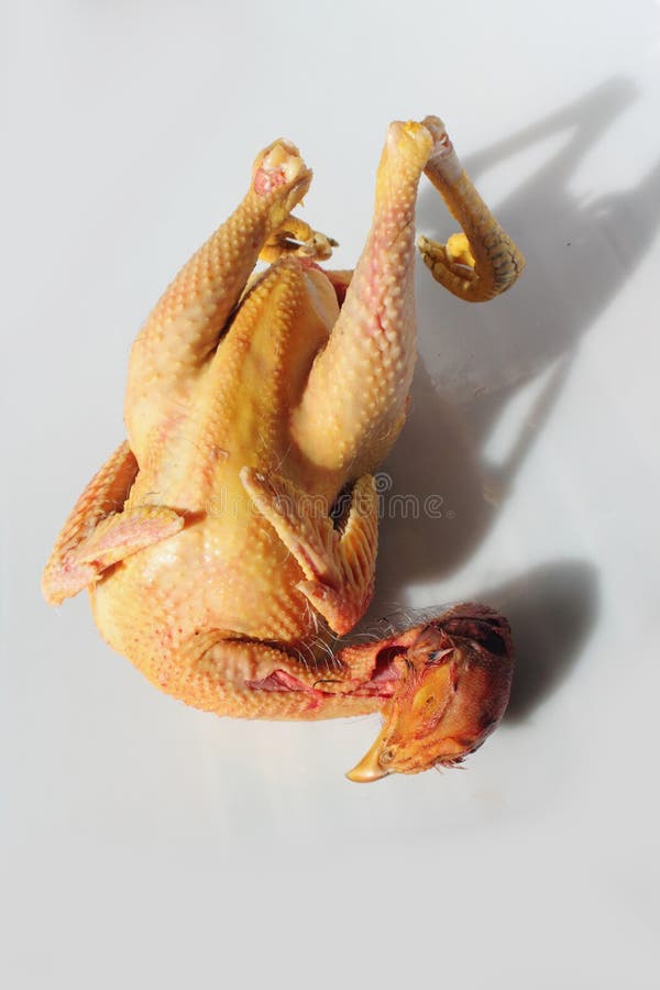 Pollo muerto en un tablero imagen de archivo. Imagen de cierre - 52099859