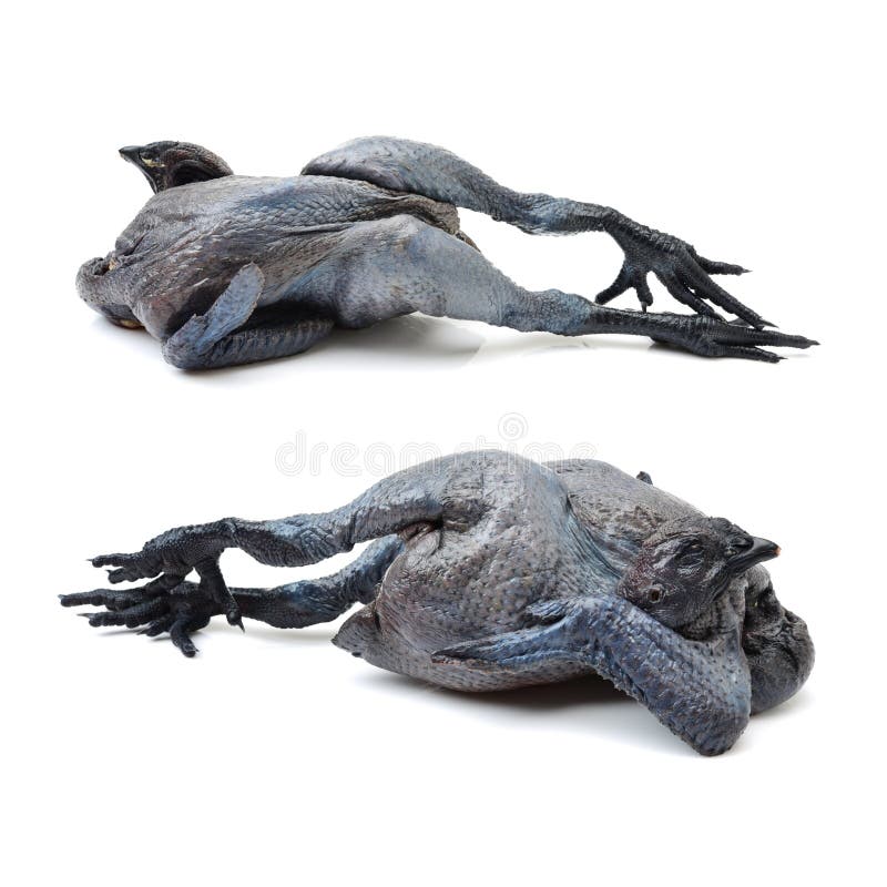 Pollo negro foto de archivo. Imagen de entero, cocina - 106660004