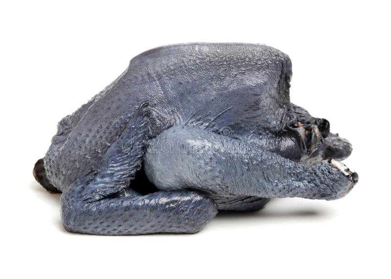 Pollo negro foto de archivo. Imagen de poultry, pollo - 134814152