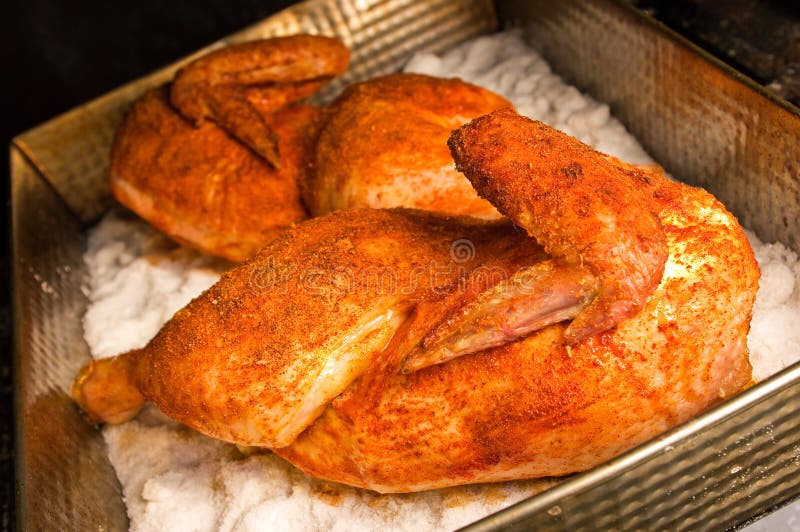 Pollo Sal-cocido al horno foto de archivo. Imagen de revuelto - 23251534