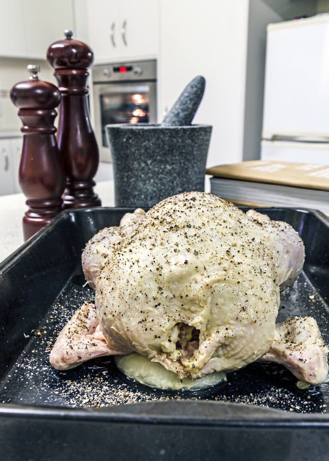 Pollo sazonado para asar imagen de archivo. Imagen de maja - 36289705