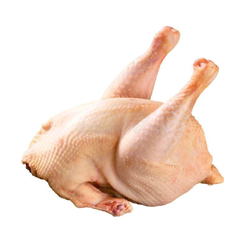 Pollo crudo aislado foto de archivo. Imagen de crudo - 33510350