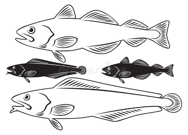 Pollock Stock Illustrations – 1,620 Pollock Stock Illustrations ...