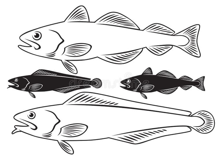 Pollock Stock Illustrations – 1,728 Pollock Stock Illustrations ...