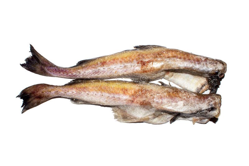 165 Pollock Fish Head Stock Photos - Free & Royalty-Free Stock Photos ...