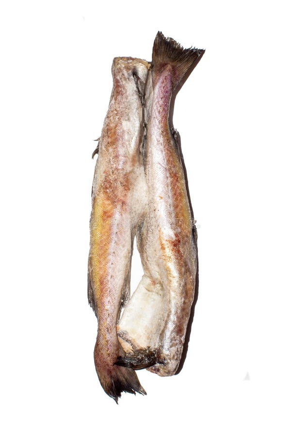 252 Hake Fish Head Stock Photos - Free & Royalty-Free Stock Photos from ...