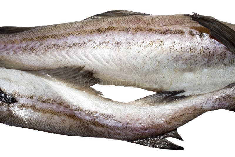 5,115 Pollock Fish Stock Photos - Free & Royalty-Free Stock Photos from ...