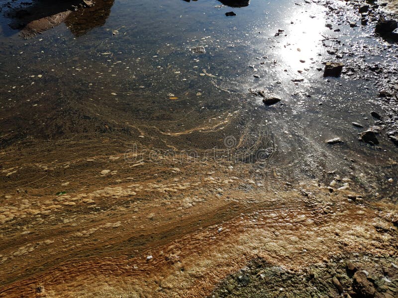 Polluted Body of Water. Water Pollution Concept Image Stock Photo ...
