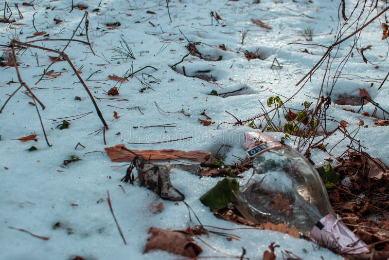 Polluted Environment, Garbage in Winter Forest Stock Image - Image of ...