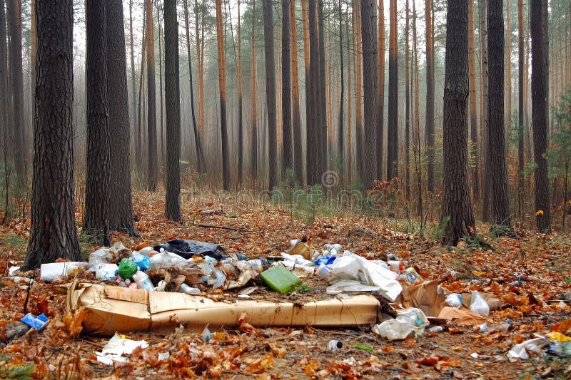 Polluted Forest with Scattered Garbage, Plastic Waste, and Abandoned ...