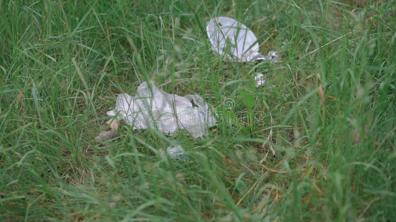 Polluted Grass Area with Remains Stock Footage - Video of camp, meadow ...