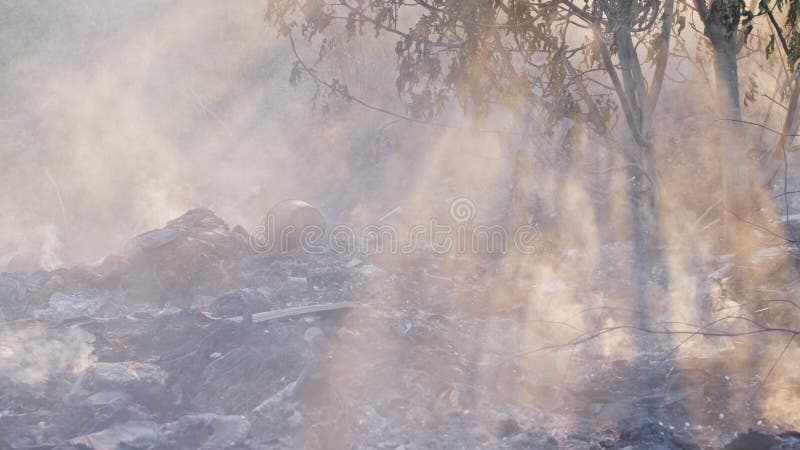Polluted Incineration in Nature Fire Burn Smoke Garbage Waste Disposal ... Polluted Incineration in Nature Fire Burn Smoke Garbage Waste Disposal ...