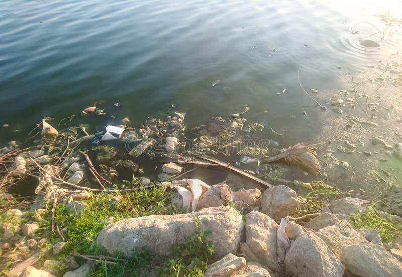 Polluted lake shore stock photo. Image of environment - 322831134