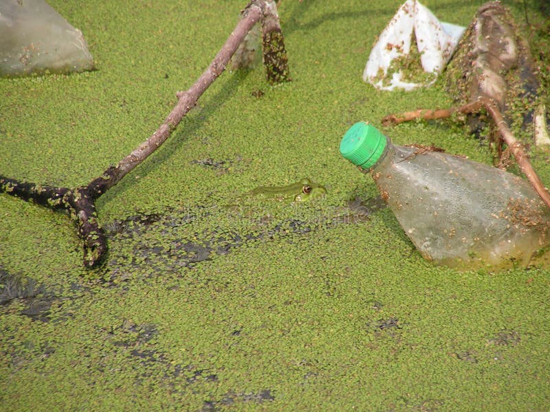 Polluted natural pond stock image. Image of refuse, consumerism - 26864439