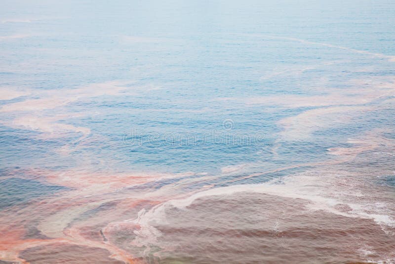 Amazonia landscape stock photo. Image of amazonia, tropical - 2989938