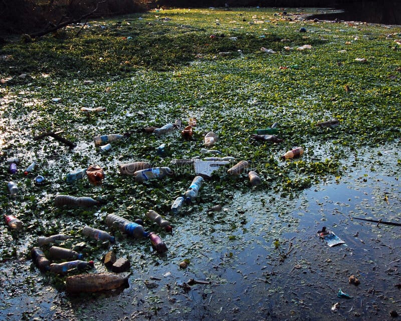Polluted River stock photo. Image of green, damage, garbage - 4350264