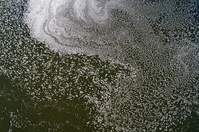 Polluted River, Foam on the Surface of the Water Stock Photo - Image of ...