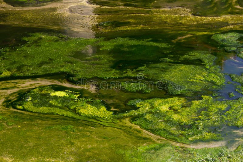 Polluted river stock photo. Image of brown, water, shores - 58976822