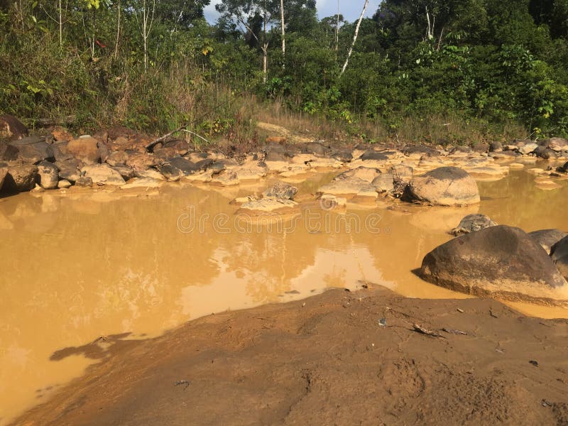 A Polluted River in a Mostly Deforested Part of the Rainforest because ...