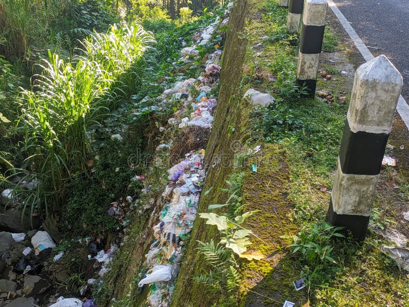 A Polluted Roadside Slope Littered with Plastic Waste and Garbage ...
