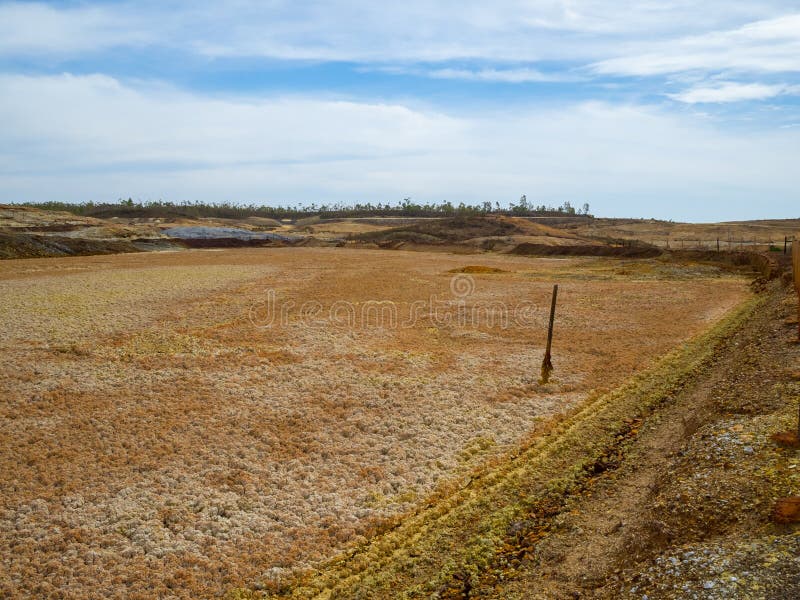 Polluted soil stock image. Image of domingos, polluted - 254790701