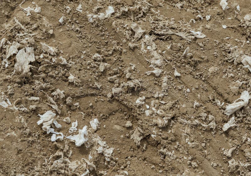 Polluted Soil Surface with Litter and Waste Showing Environmental ...