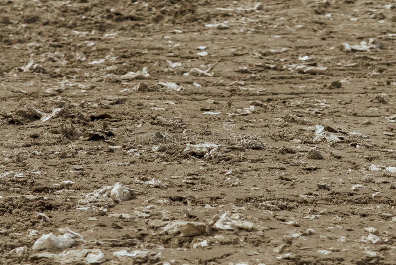 Polluted Soil Surface with Litter and Waste Showing Environmental ...