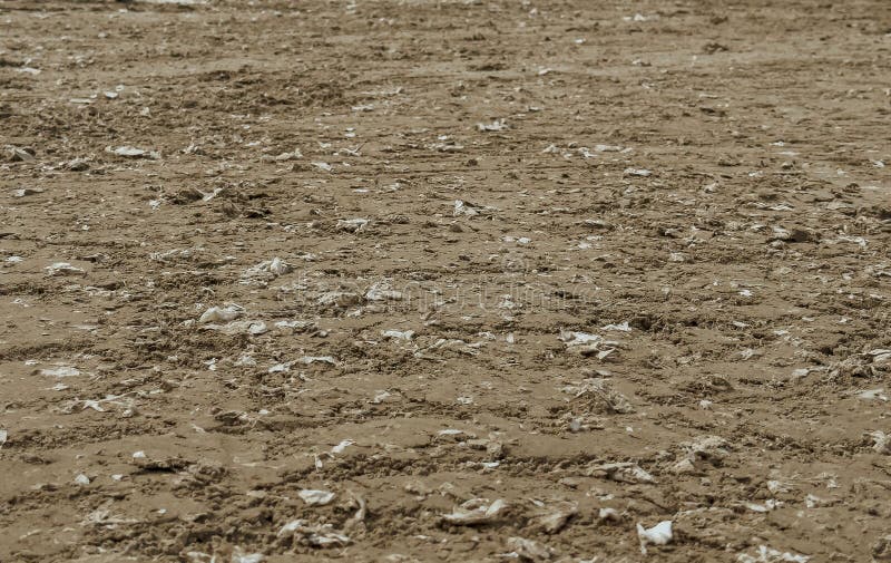 Polluted Soil Surface with Litter and Waste Showing Environmental ...