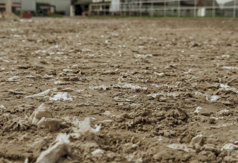 Polluted Soil Surface with Litter and Waste Showing Environmental ...