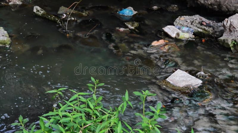 A Polluted Stream Flows Slowly, Its Surface Littered with Plastic Waste ...