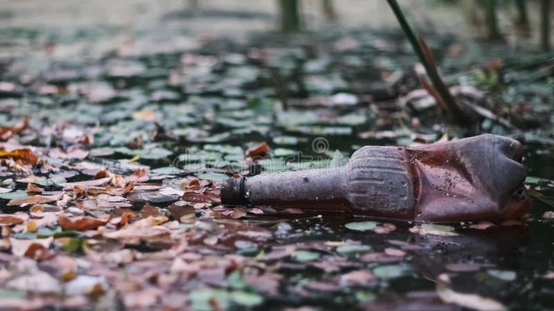 Polluted Swamp, Plastic Bottle, Environmental Problem Stock Footage ...