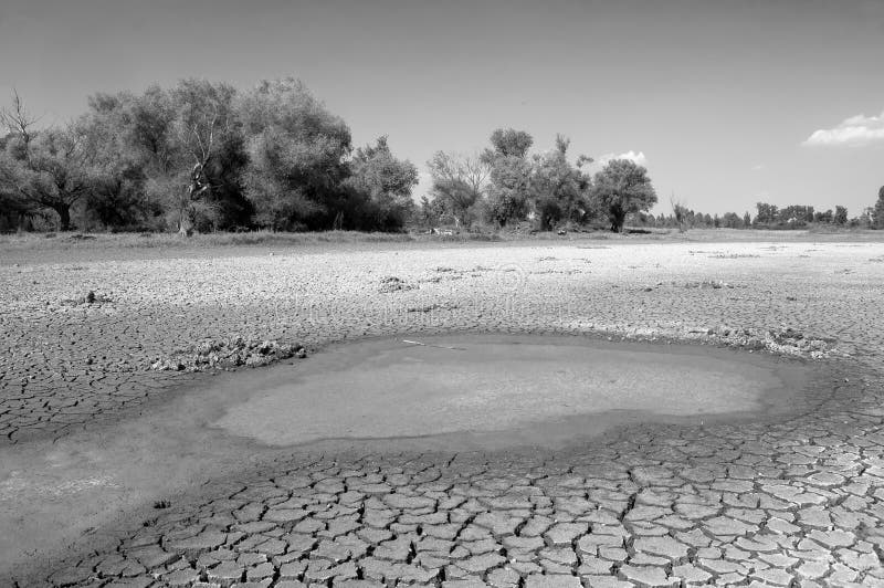 Polluted Water and Cracked Soil of Dried Out Lake during Drought Stock ...