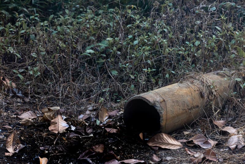 Polluted Water Drains into the Forest. Save the Environment Stock Photo ...