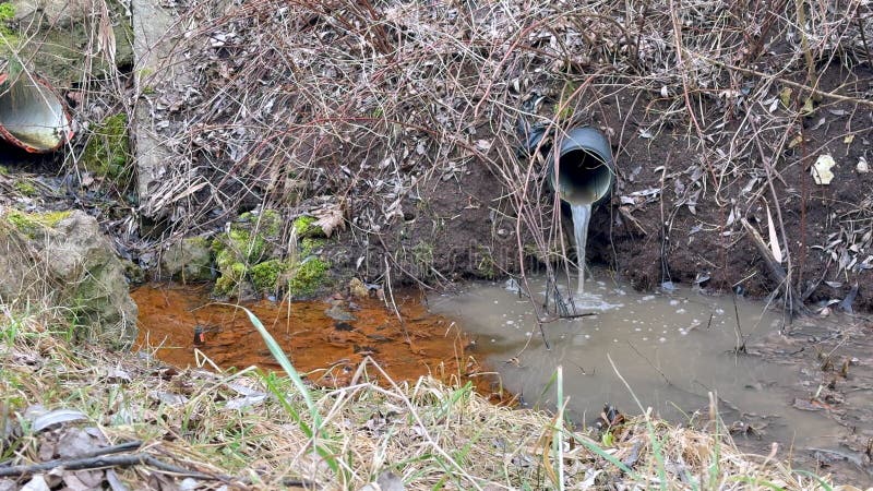 Polluted Water Flowing from the Storm Drain is a Significant ...