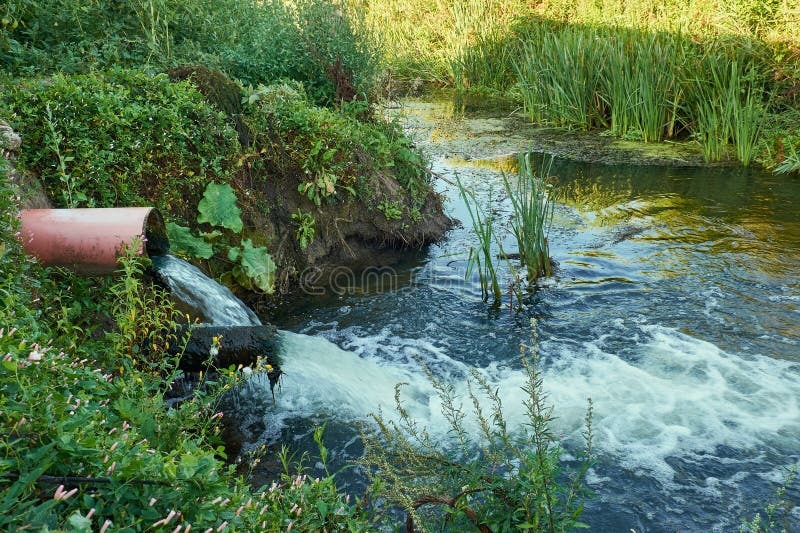 Polluted Water Flows from a Large Drainage Pipe into a Natural River ...