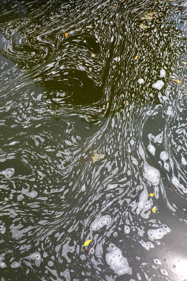 Polluted water surface stock image. Image of environment - 96145979