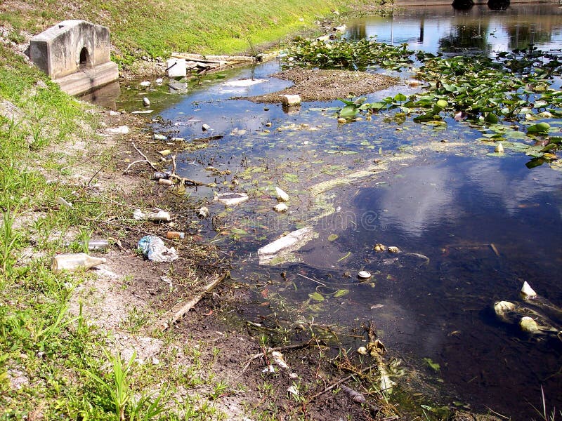 Polluted Water Way stock image. Image of stream, bacteria - 19749769