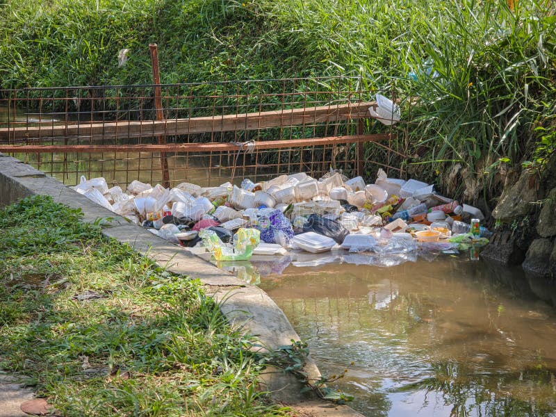 Polluted Waterway Blocked by Trash Accumulation Highlighting ...