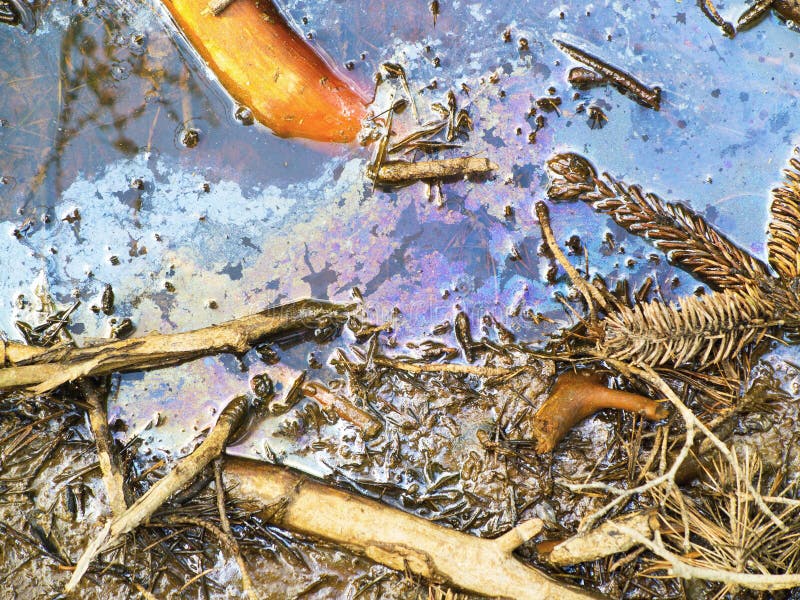 Polluted Wetland of Indore India Stock Photo - Image of contamination ...