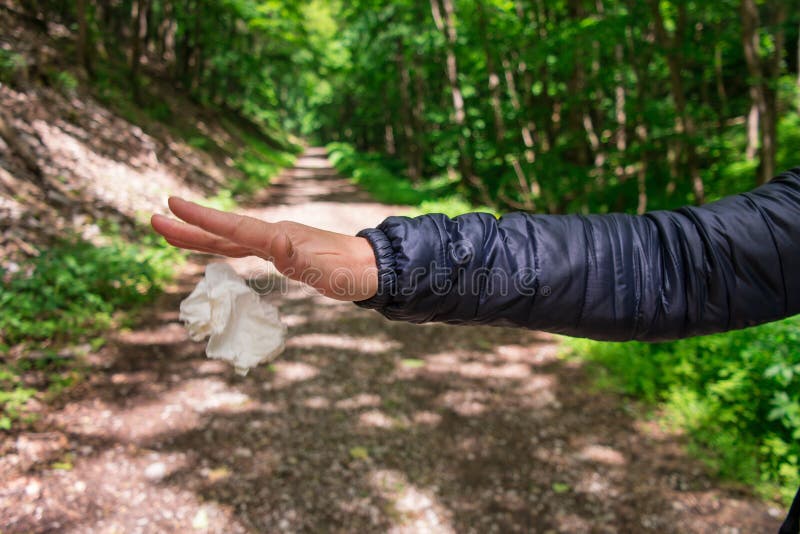 Polluting Person in the Forest Stock Image - Image of junk, litter ...