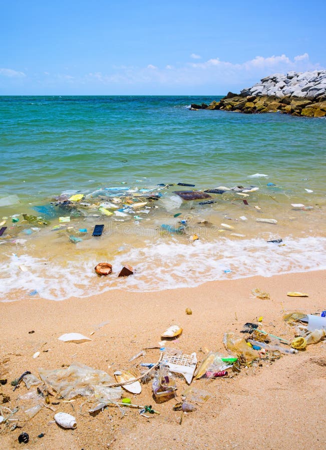 Pollution on the Beach of Tropical Sea. Stock Image - Image of tide ...