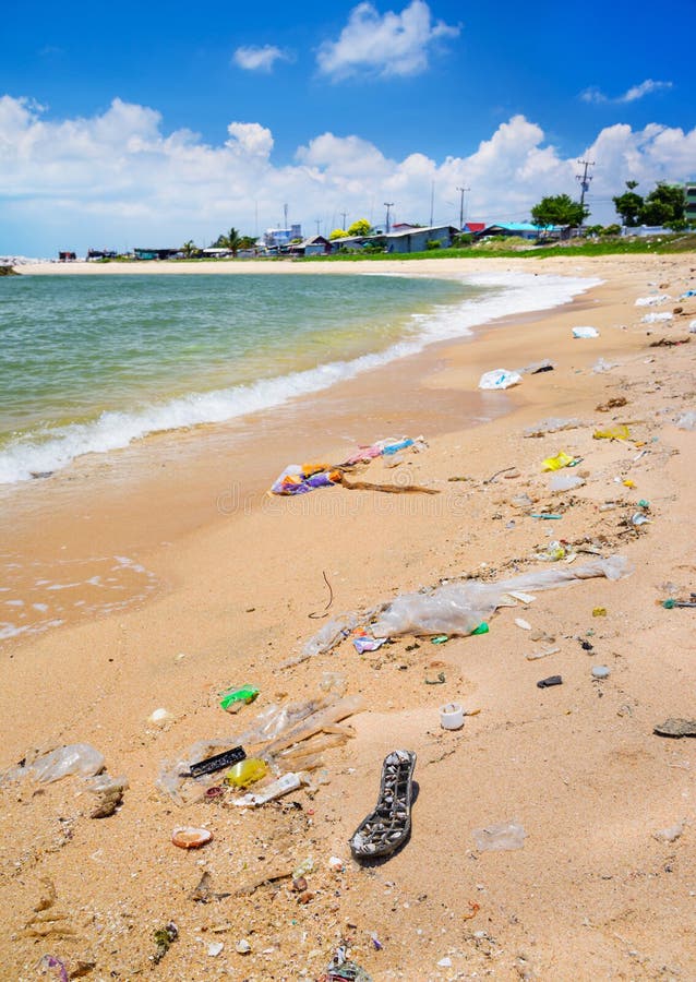Pollution on the Beach of Tropical Sea. Stock Image - Image of tide ...