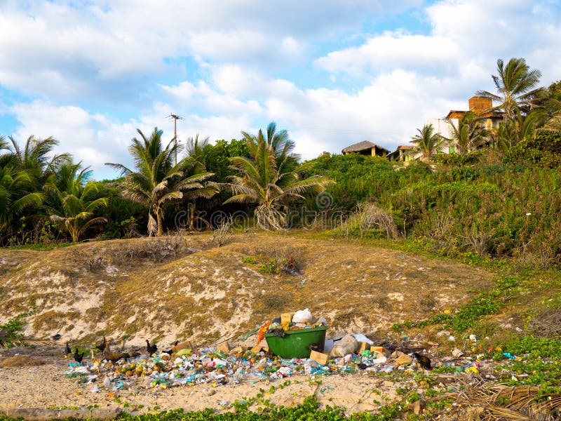 Tropical Beach Resort editorial photography. Image of recife - 50801117
