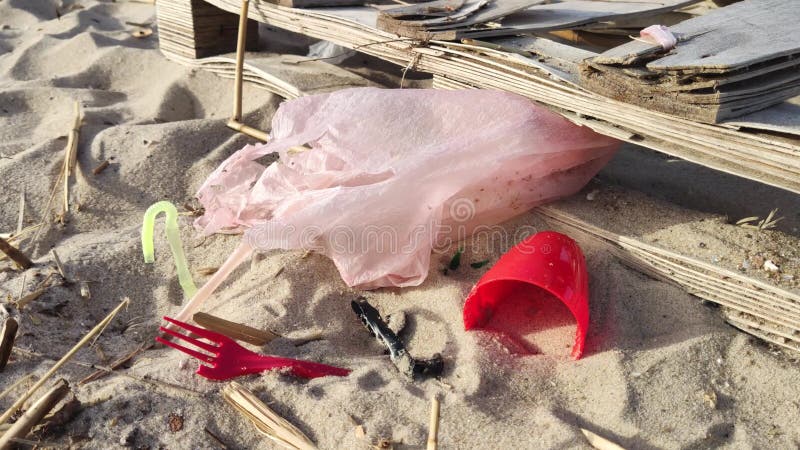 Pollution of Beaches with Plastic Debris and the Remains of River ...